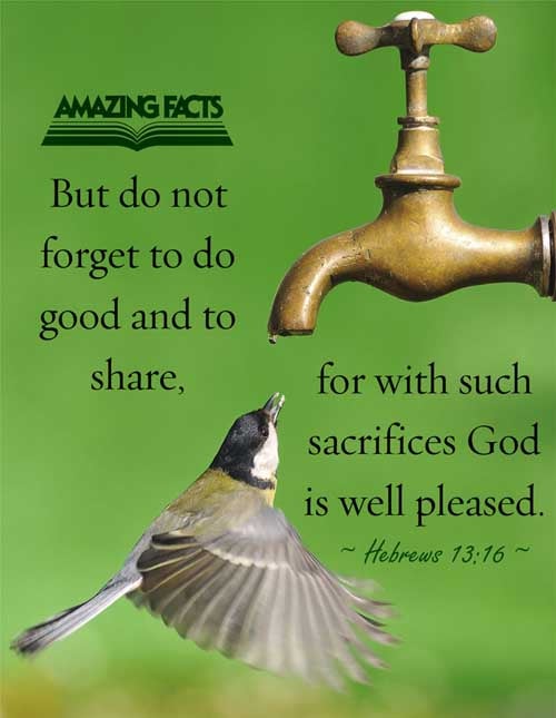 Hebrews - Chapter 13 Archives - Amazing Facts