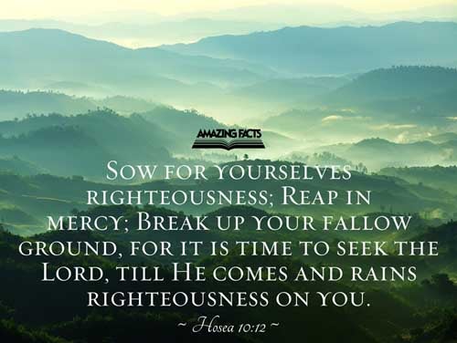 Hosea Archives - Amazing Facts