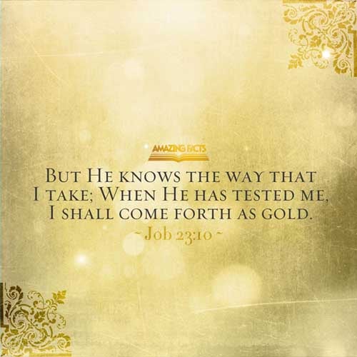 Job - Chapter 23 Archives - Amazing Facts