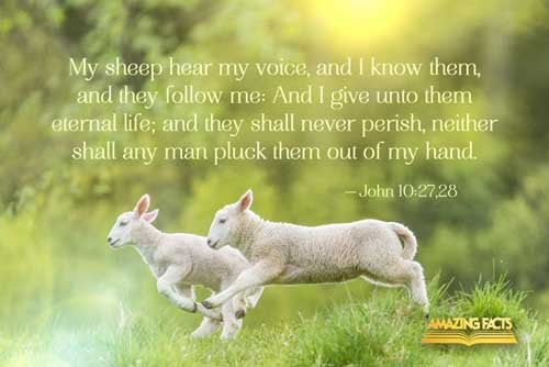 John - Chapter 10 Archives - Amazing Facts