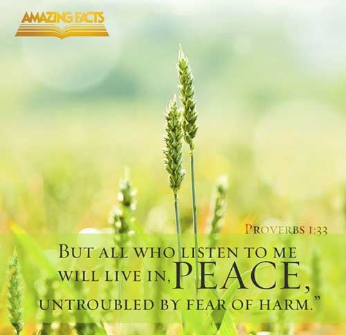 Proverbs - Chapter 1 Archives - Amazing Facts