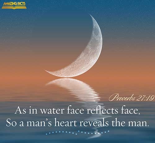 Proverbs - Chapter 27 Archives - Amazing Facts