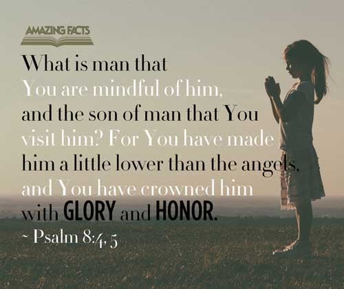 Psalms Archives - Page 22 of 36 - Amazing Facts